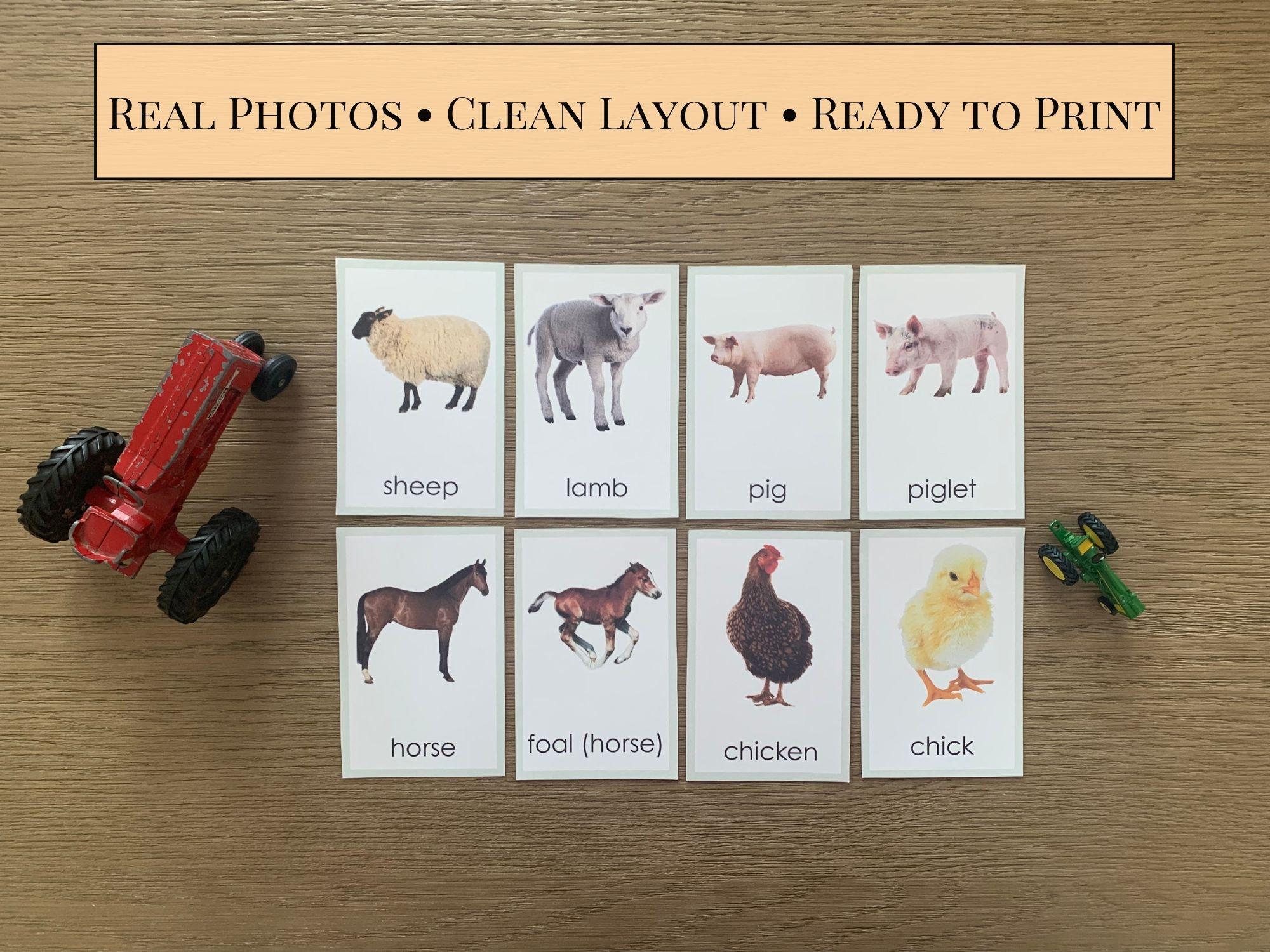 Farm Animal 3-part Cards Bundle – Montessori Printable Flashcards ...