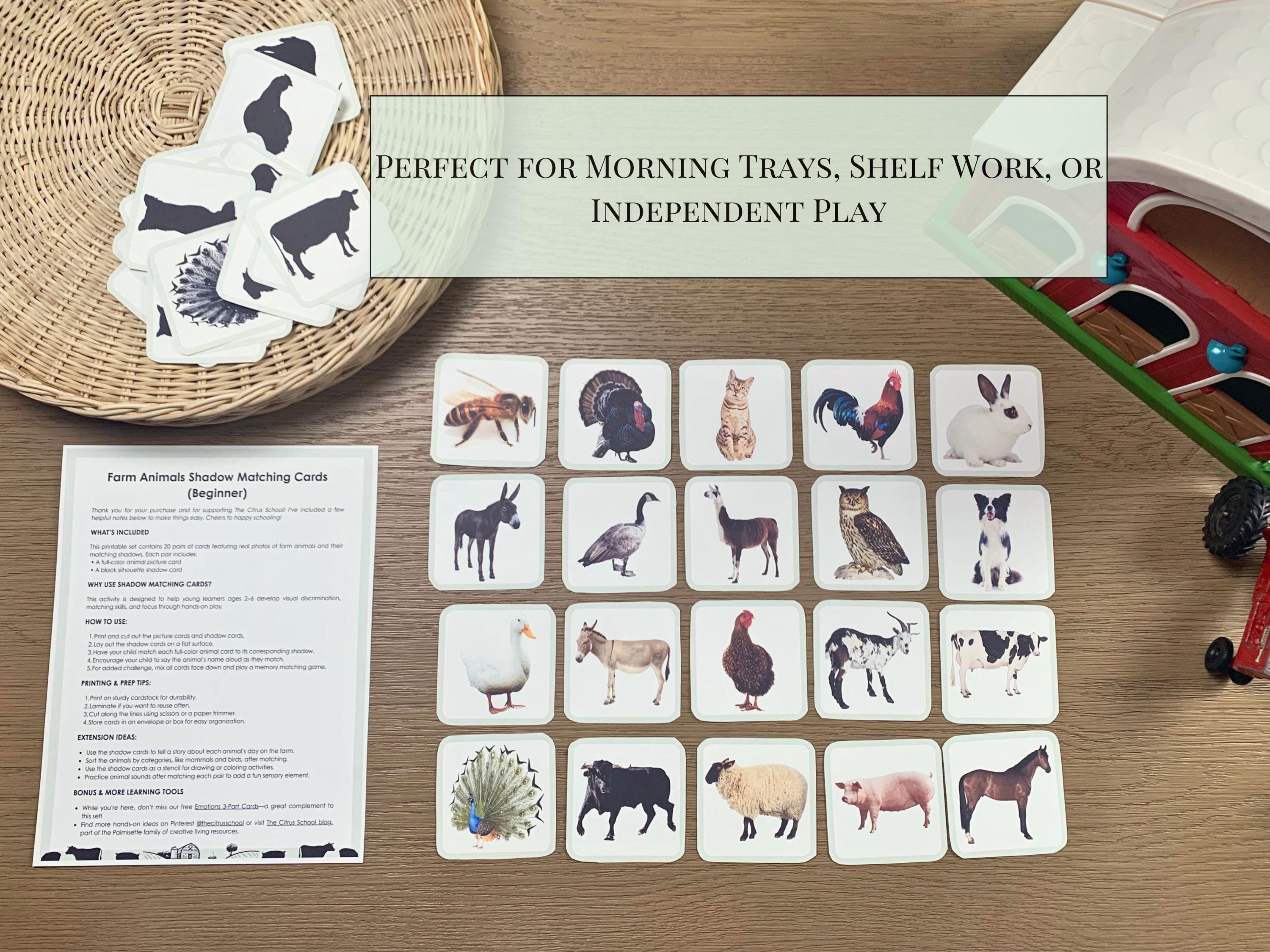 Farm Animal Shadow Matching Cards for Toddlers (beginner Version ...