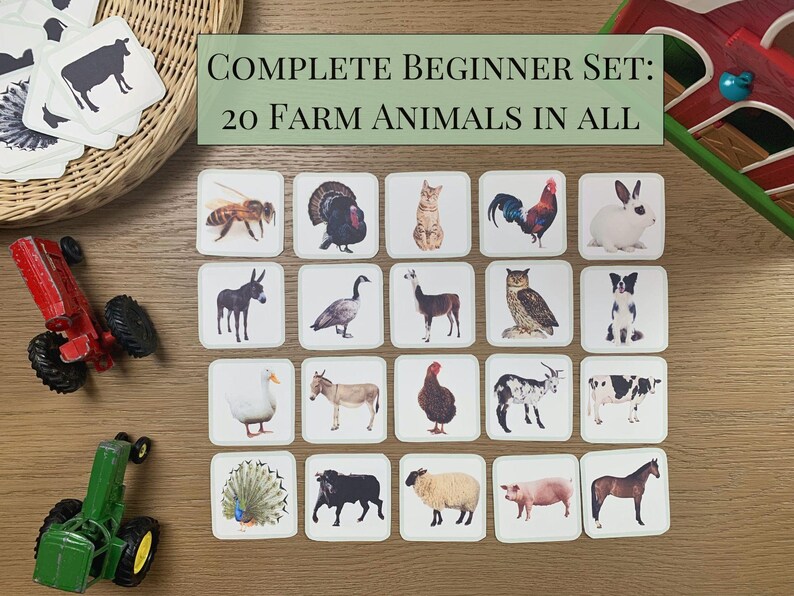 Farm Animal Shadow Matching Cards | Montessori Preschool Printable Game ...