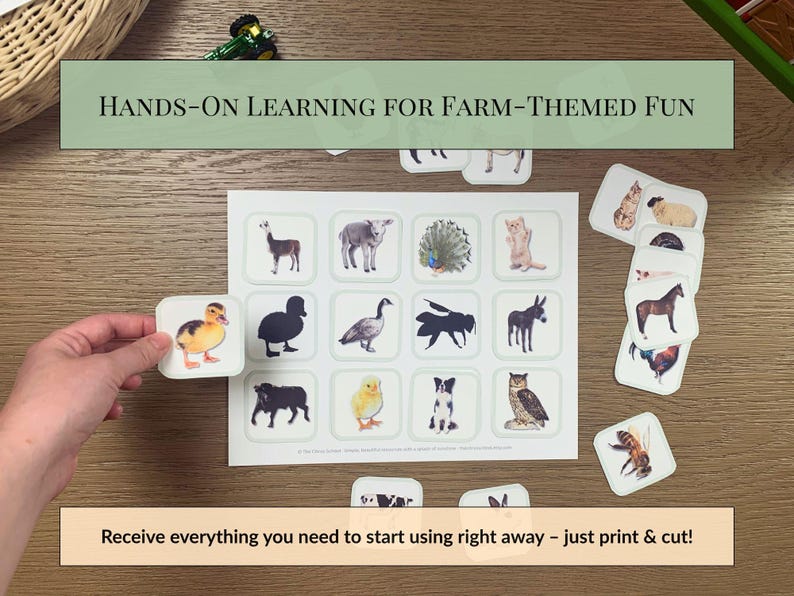 Farm Animal Shadow Matching Cards Advanced Version Printable Learning ...