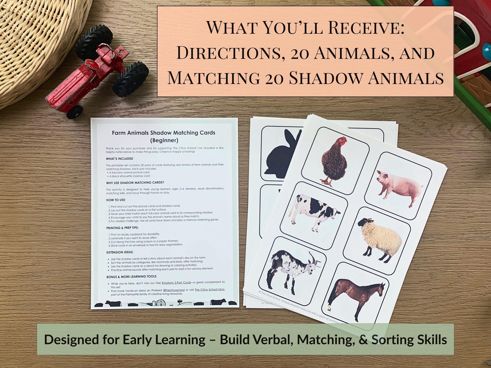 Farm Animal Shadow Matching Cards for Toddlers (beginner Version ...