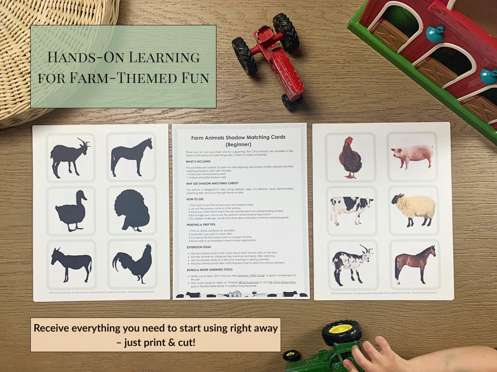 Farm Animal Shadow Matching Cards for Toddlers (beginner Version ...
