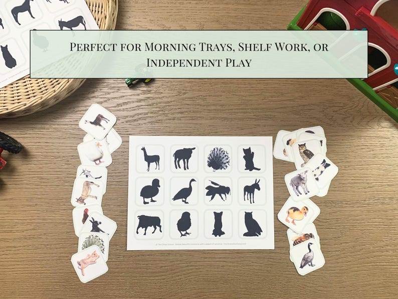 Farm Animal Shadow Matching Cards Advanced Version Printable Learning ...