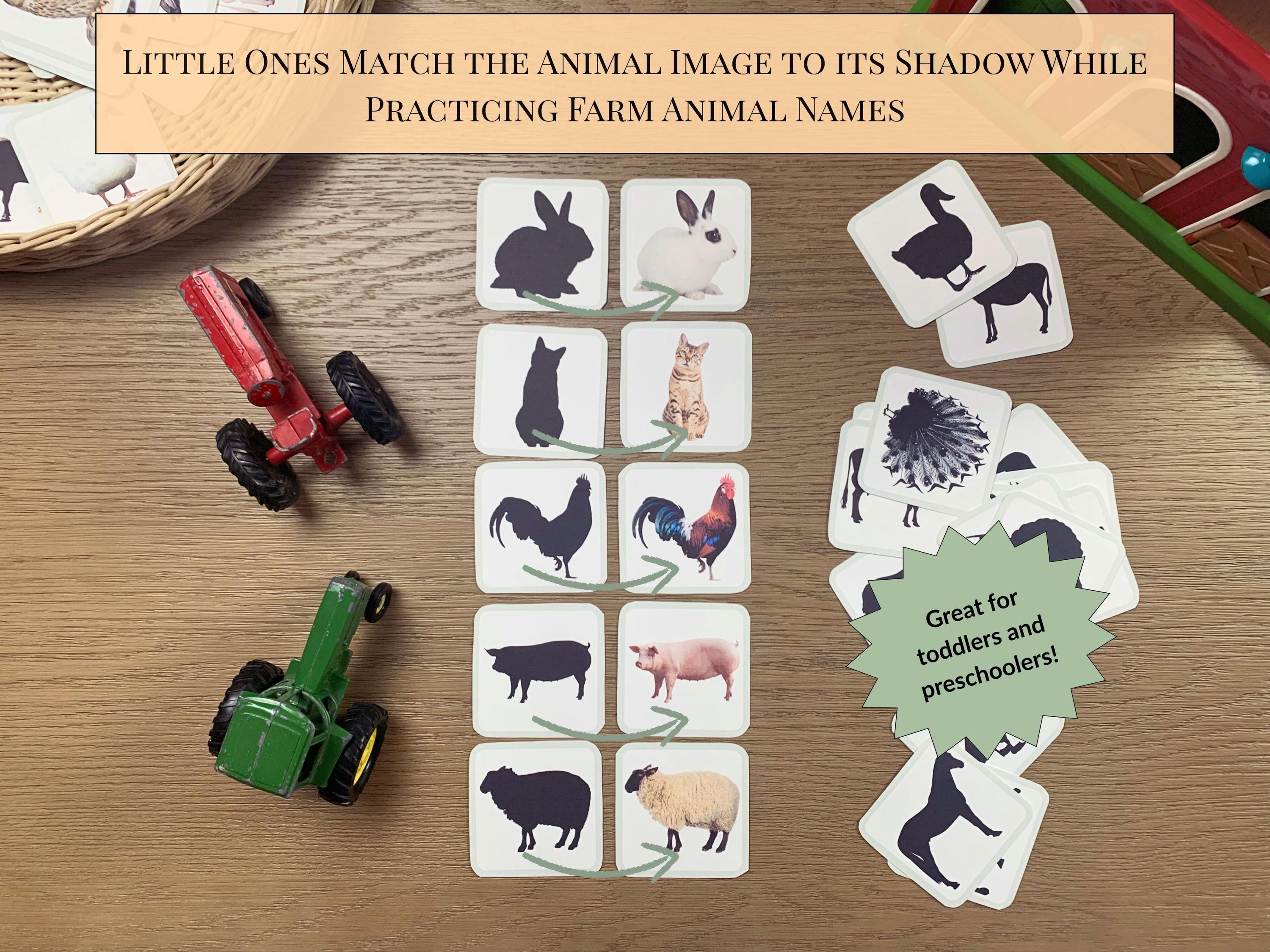 Farm Animal Shadow Matching Cards for Toddlers (beginner Version ...