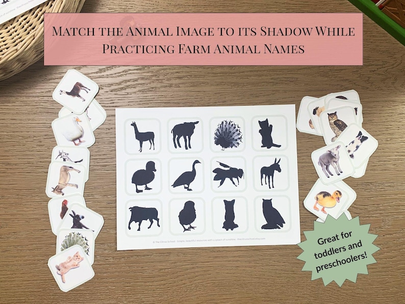 Farm Animal Shadow Matching Cards Advanced Version Printable Learning ...