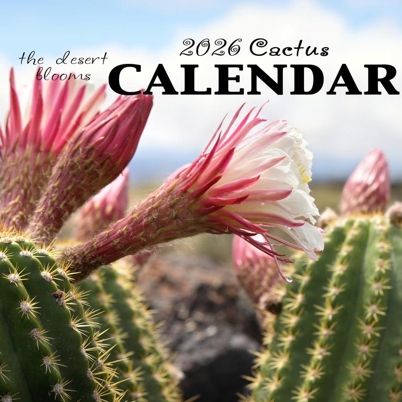 Succulent Calendar 2026 - Etsy