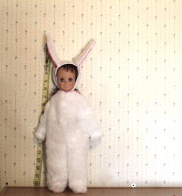 Rare Velvet Rabbit Costume Original Vintage Pattern for Rabbit, Dog or ...