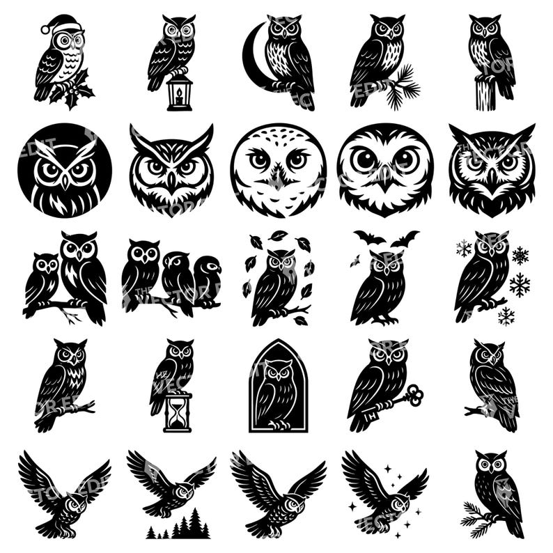 Owl SVG Bundle | Owl Clipart for Cricut & Silhouette | Nature Bird Cut ...