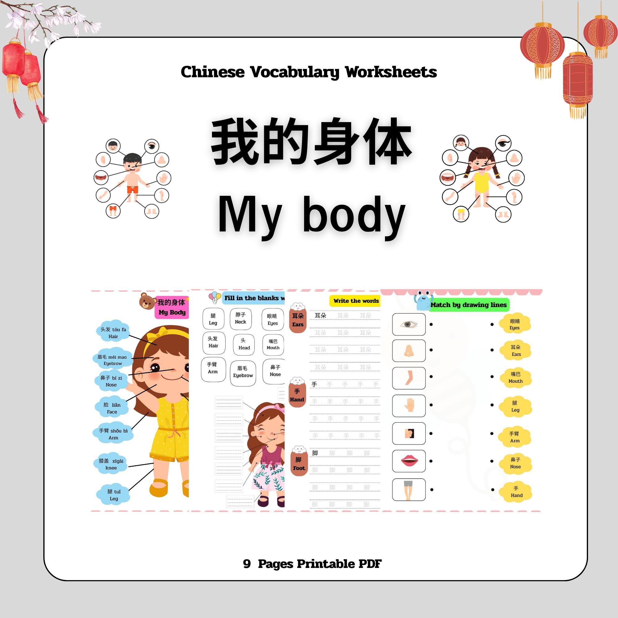 Bilingual Body Parts Worksheets – Chinese for Kids - Etsy