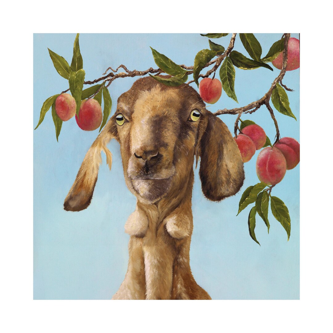 Sally and the Peaches - Etsy