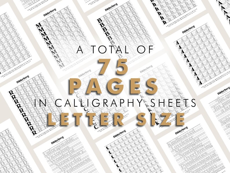 Bilderberg Font Serif Calligraphy Practice Sheet PDF Procreate Alphabet ...