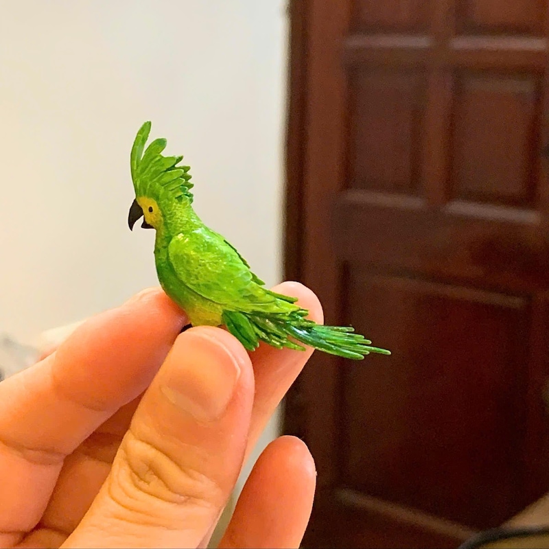 1/12 Parrot - Etsy UK