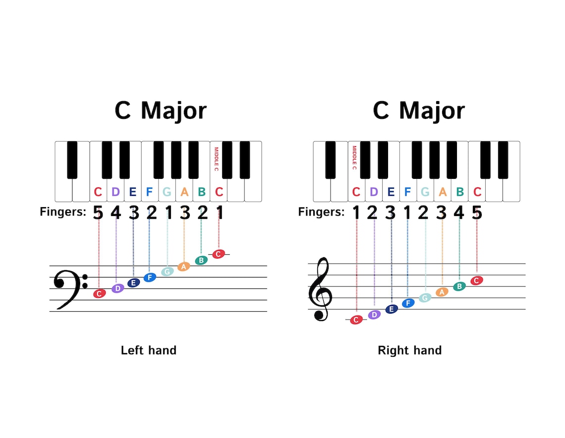 Piano Major Scales Cheatsheet: Beginner Piano Lessons (PDF Printable ...