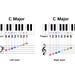Piano Major Scales Cheatsheet: Beginner Piano Lessons (PDF Printable ...