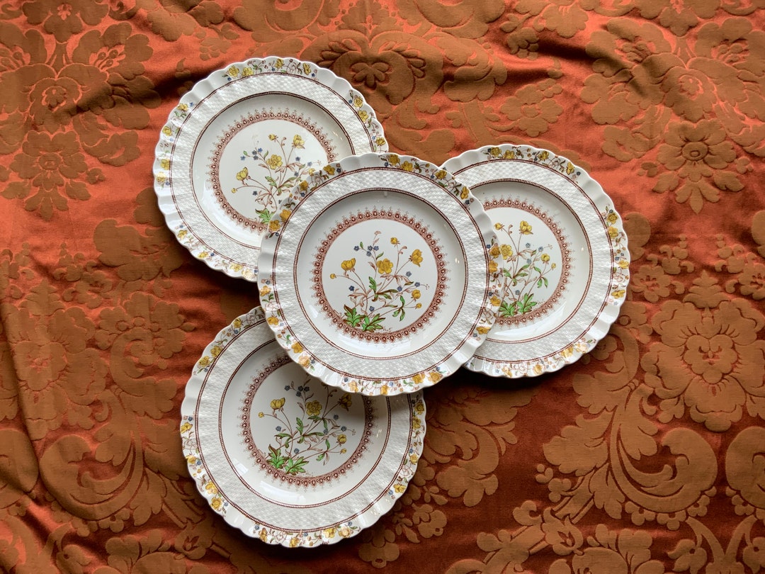 Antique Spode 9 Botanical Plates - Etsy