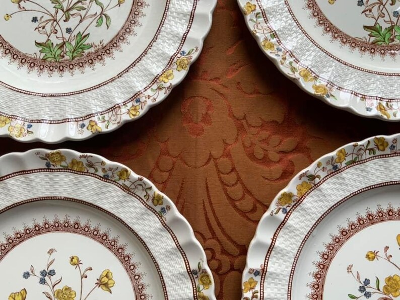 Antique Spode 9 Botanical Plates - Etsy