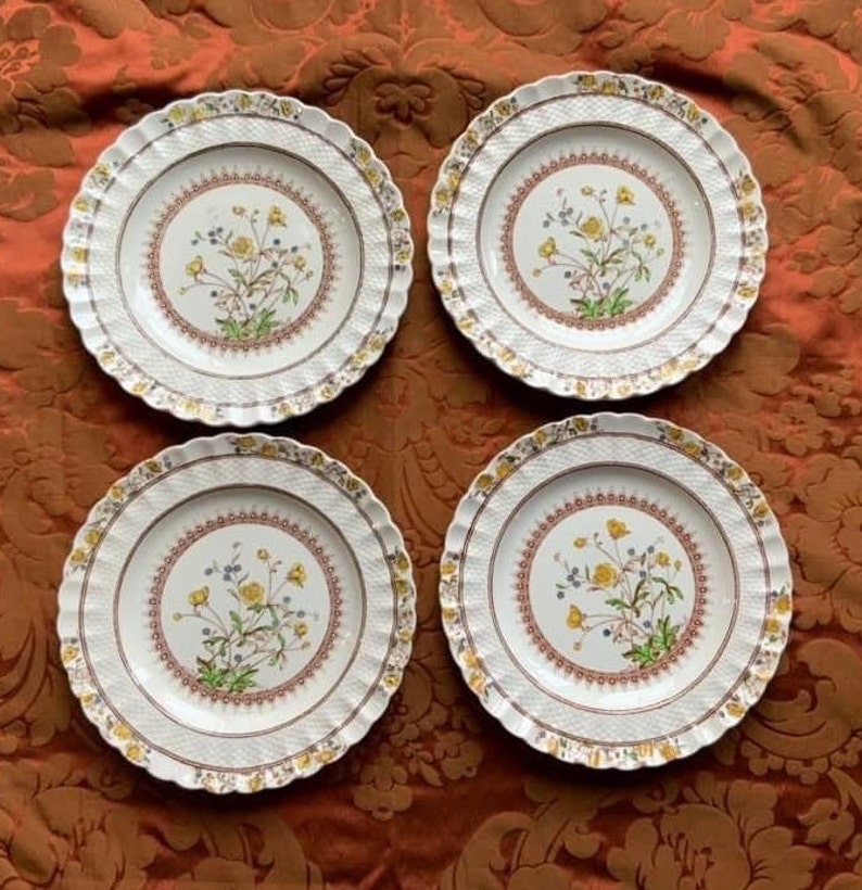 Antique Spode 9 Botanical Plates - Etsy