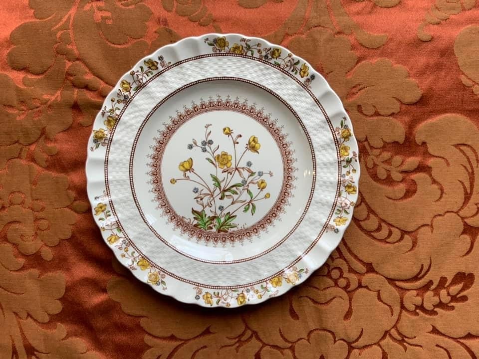 Antique Spode 9 Botanical Plates - Etsy