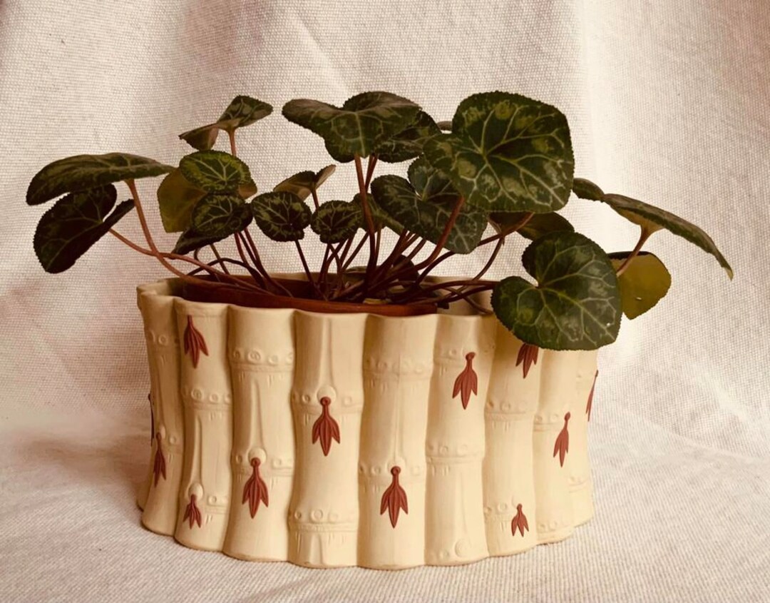 Wedgwood Cane Ware With Terracotta Large Cache Pot - Etsy