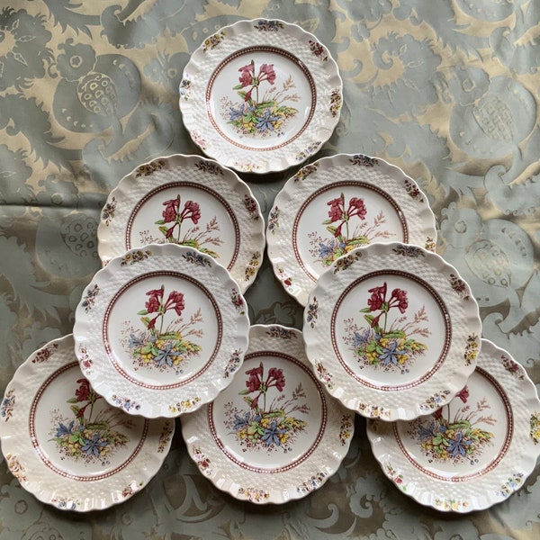 Antique Spode - Etsy