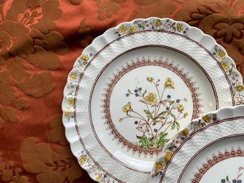 Antique Spode 9 Botanical Plates - Etsy