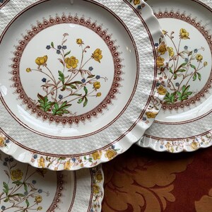 Antique Spode 9 Botanical Plates - Etsy