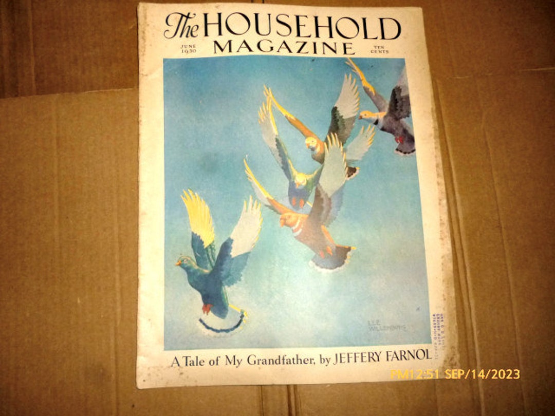 The Household Magazine June 1930 Vintage Magazine Fashion Recipes ...