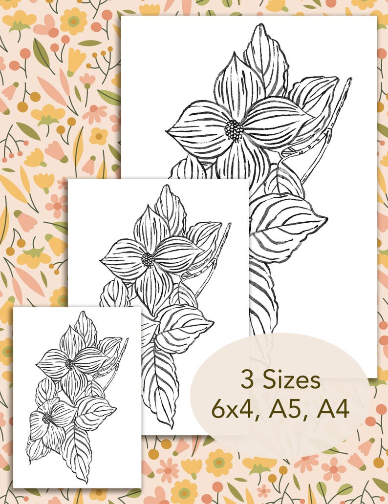 Hand-drawn Floral Coloring Pages: Cottagecore Line Art (PDF Download ...
