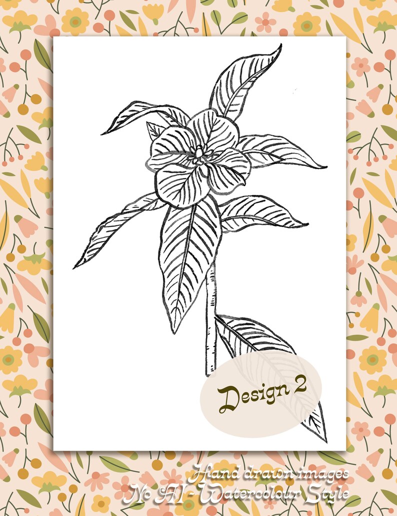 Hand-drawn Floral Coloring Pages: Cottagecore Line Art (PDF Download ...