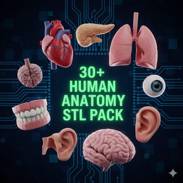 Human Body Stl File - Etsy