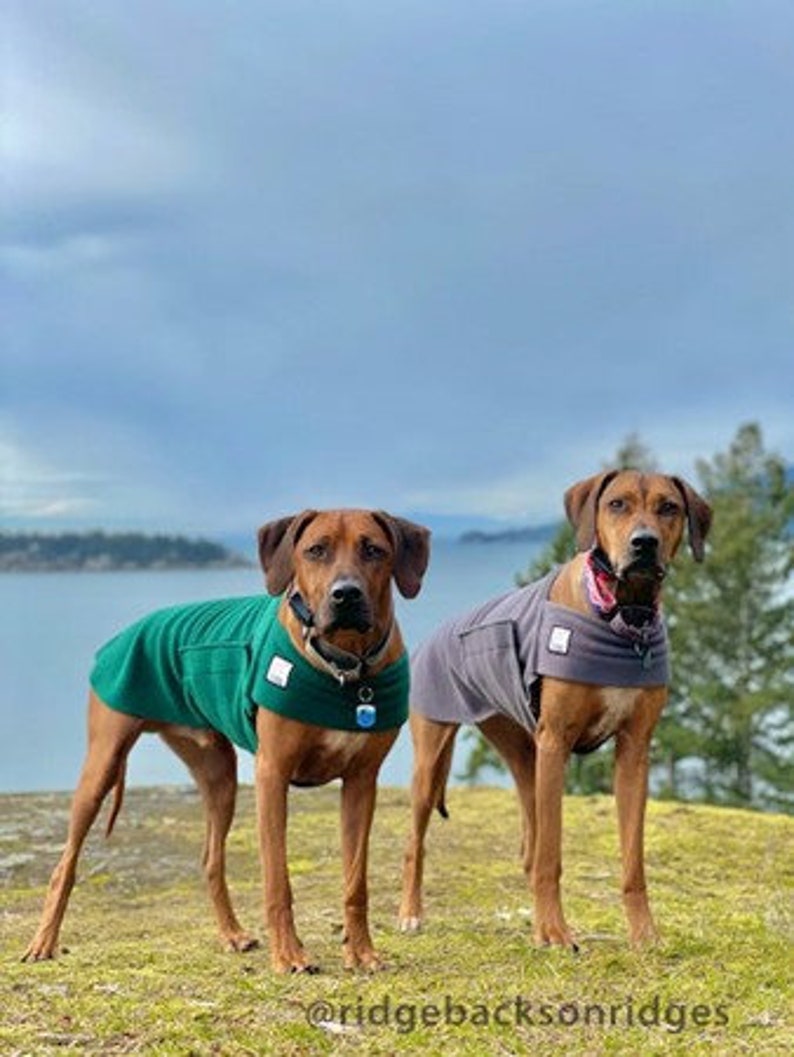 RHODESIAN RIDGEBACK Tummy Warmer Fleece Sweater for Dogs - Etsy