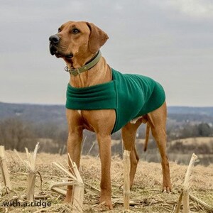 RHODESIAN RIDGEBACK Tummy Warmer Fleece Sweater for Dogs - Etsy