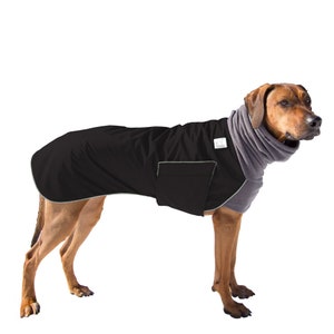 RHODESIAN RIDGEBACK Winter Dog Coat Winter Coat for Dogs - Etsy