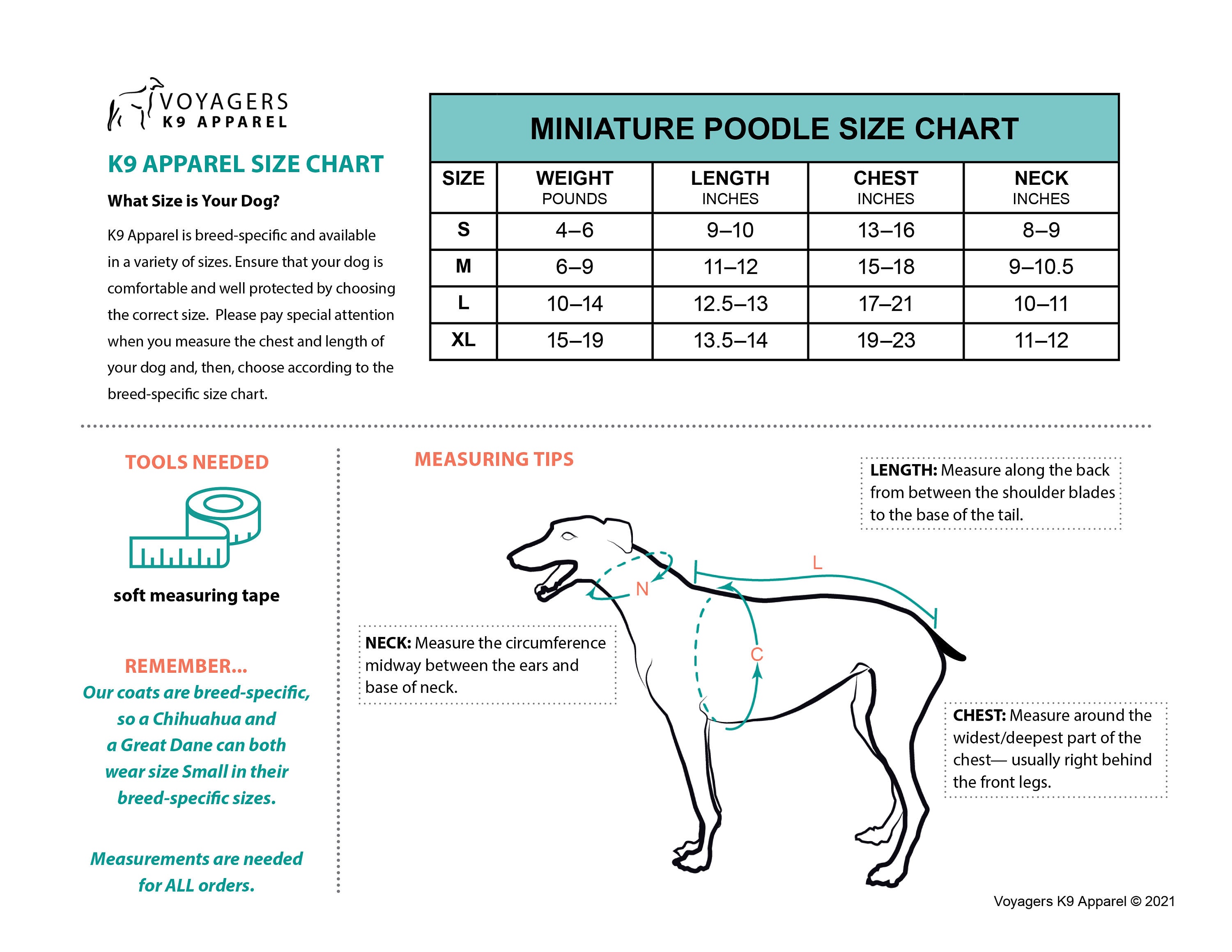 Miniature Poodle Size Chart