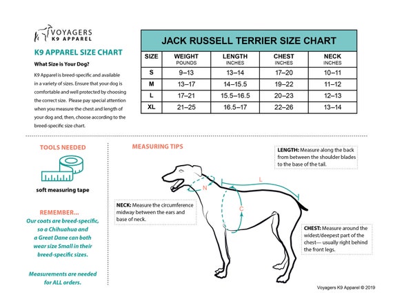 What Is A Good Weight For A Jack Russell Terrier