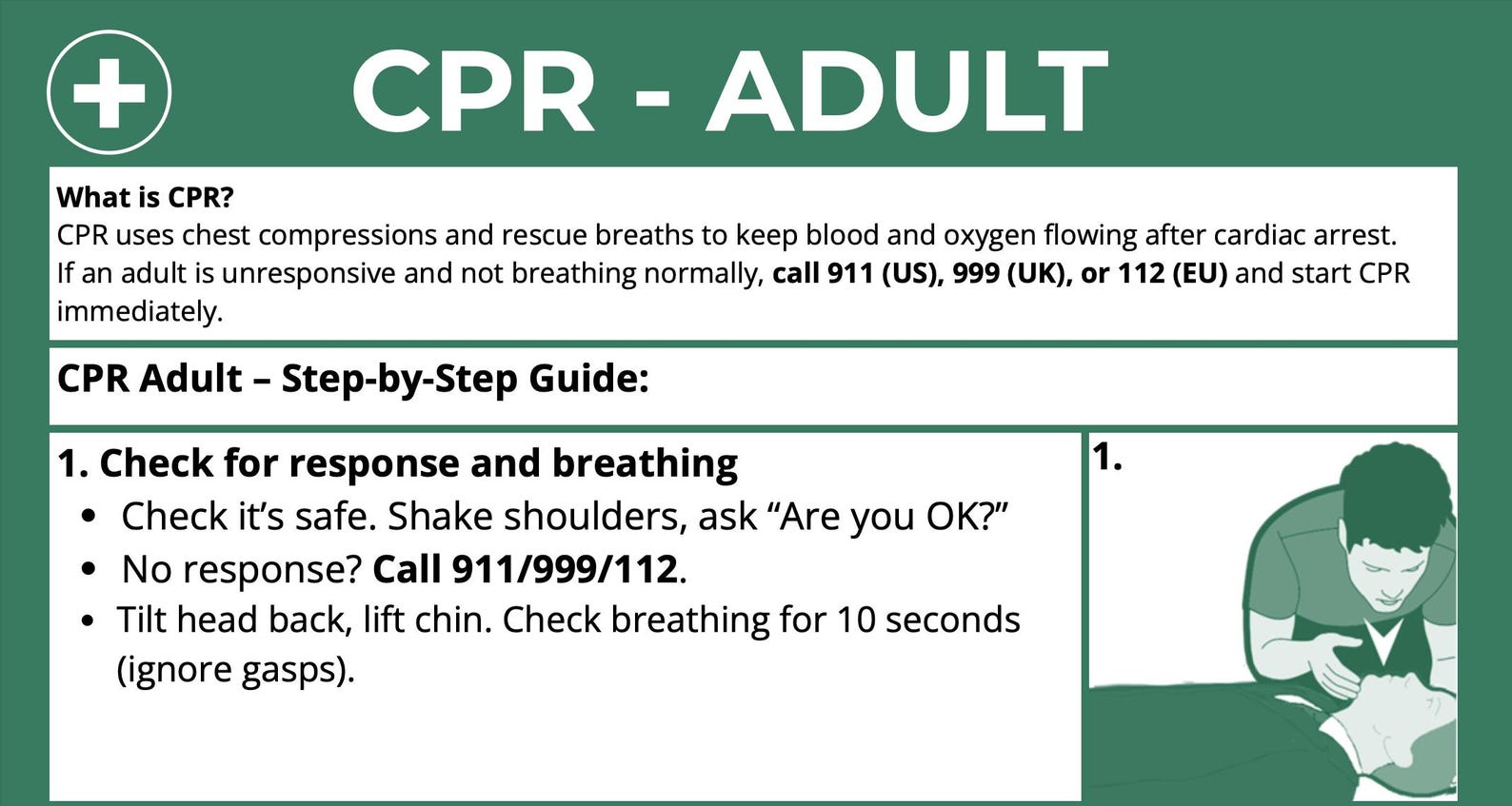 CPR Adult First Aid Guide CPR Printable Chart Digital Download PDF for ...
