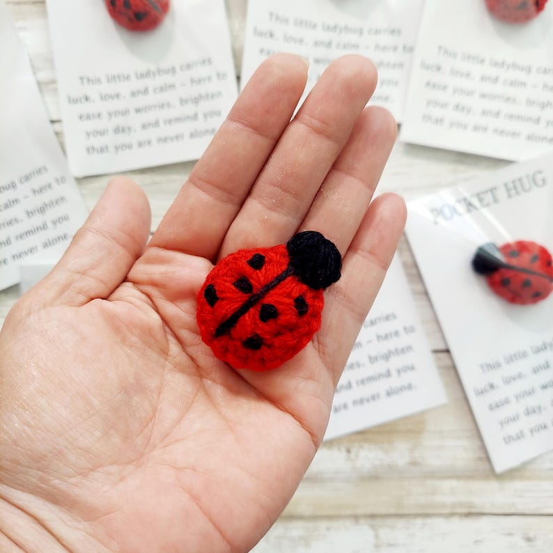 Ladybug Pocket Hug, Crochet Amigurumi Bug Plush, Handmade Comfort Toy ...