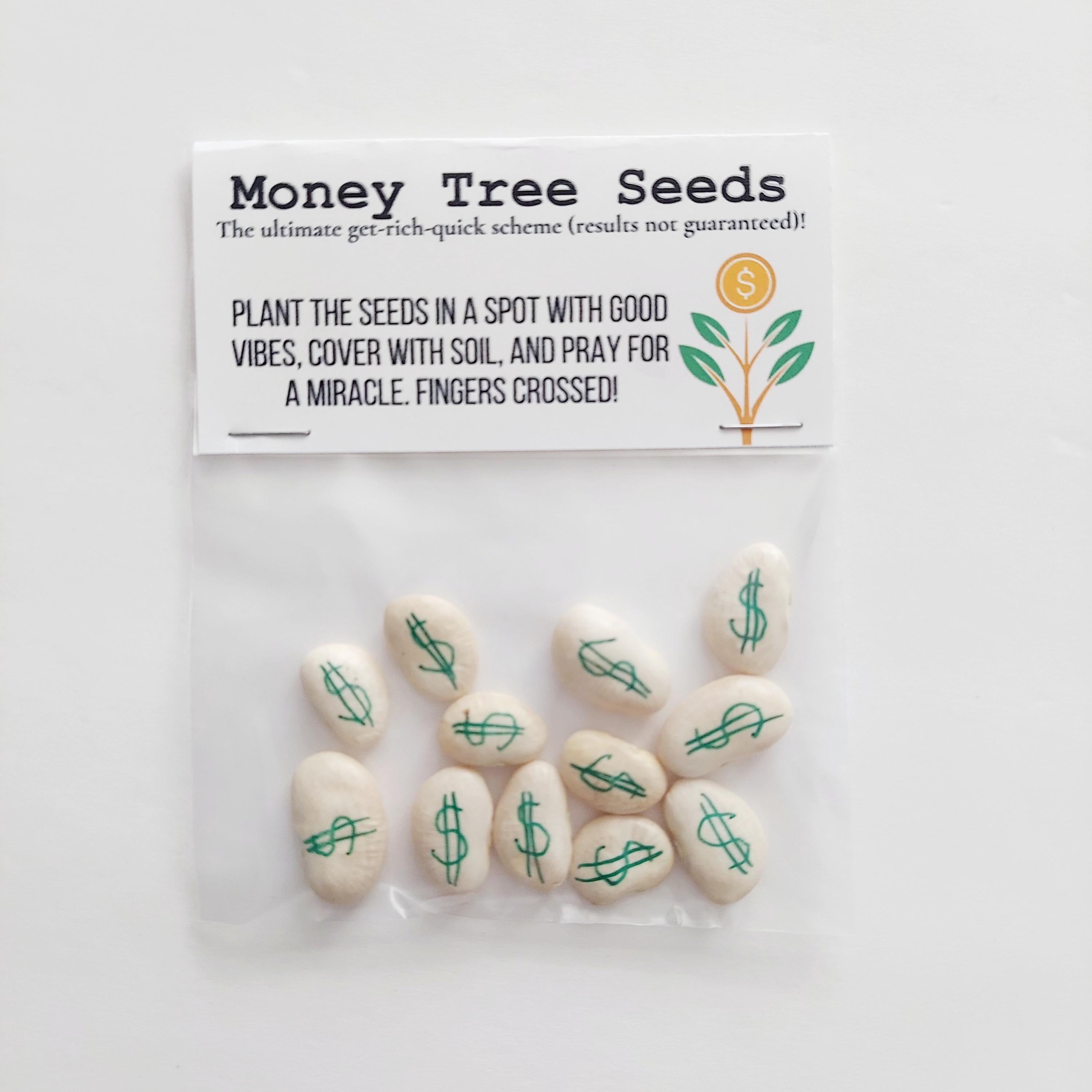 Money Tree Seeds Gag Gift Funny Prank for Friends, Office, or Secret ...