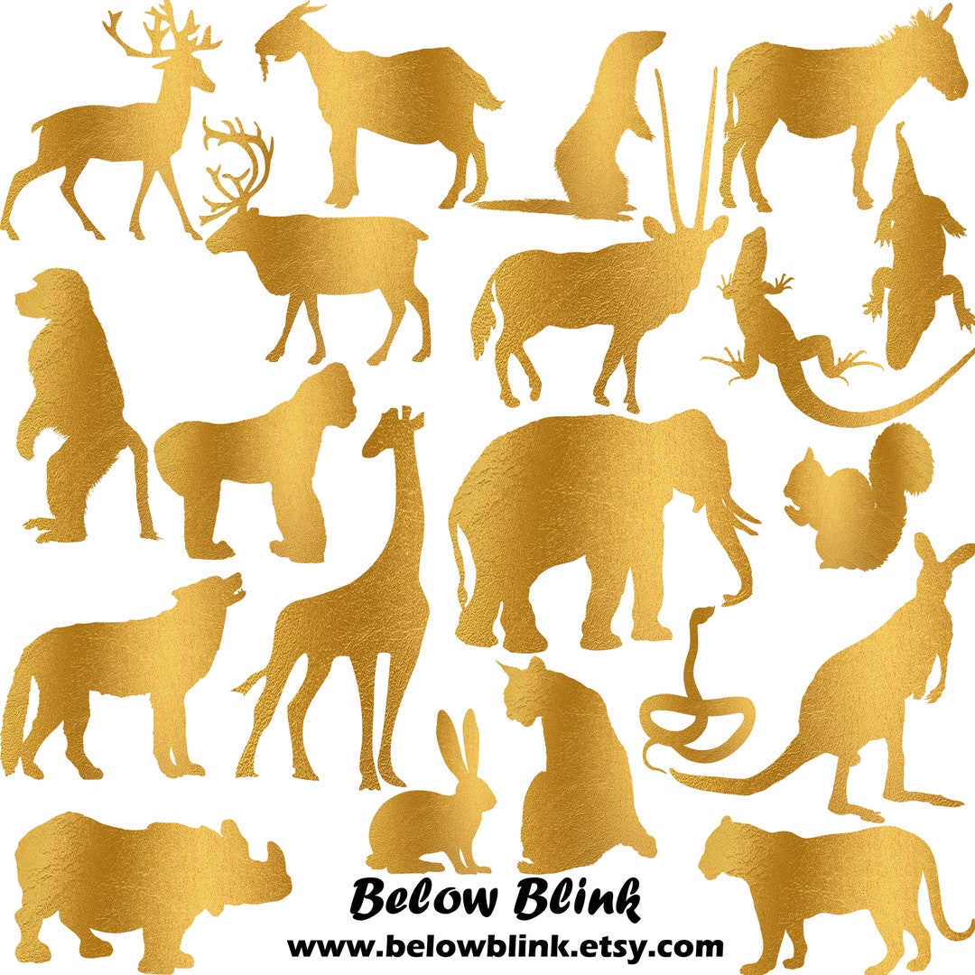 Safari Clipart, Safari Animals, Jungle Clipart, Safari Sillhouette ...