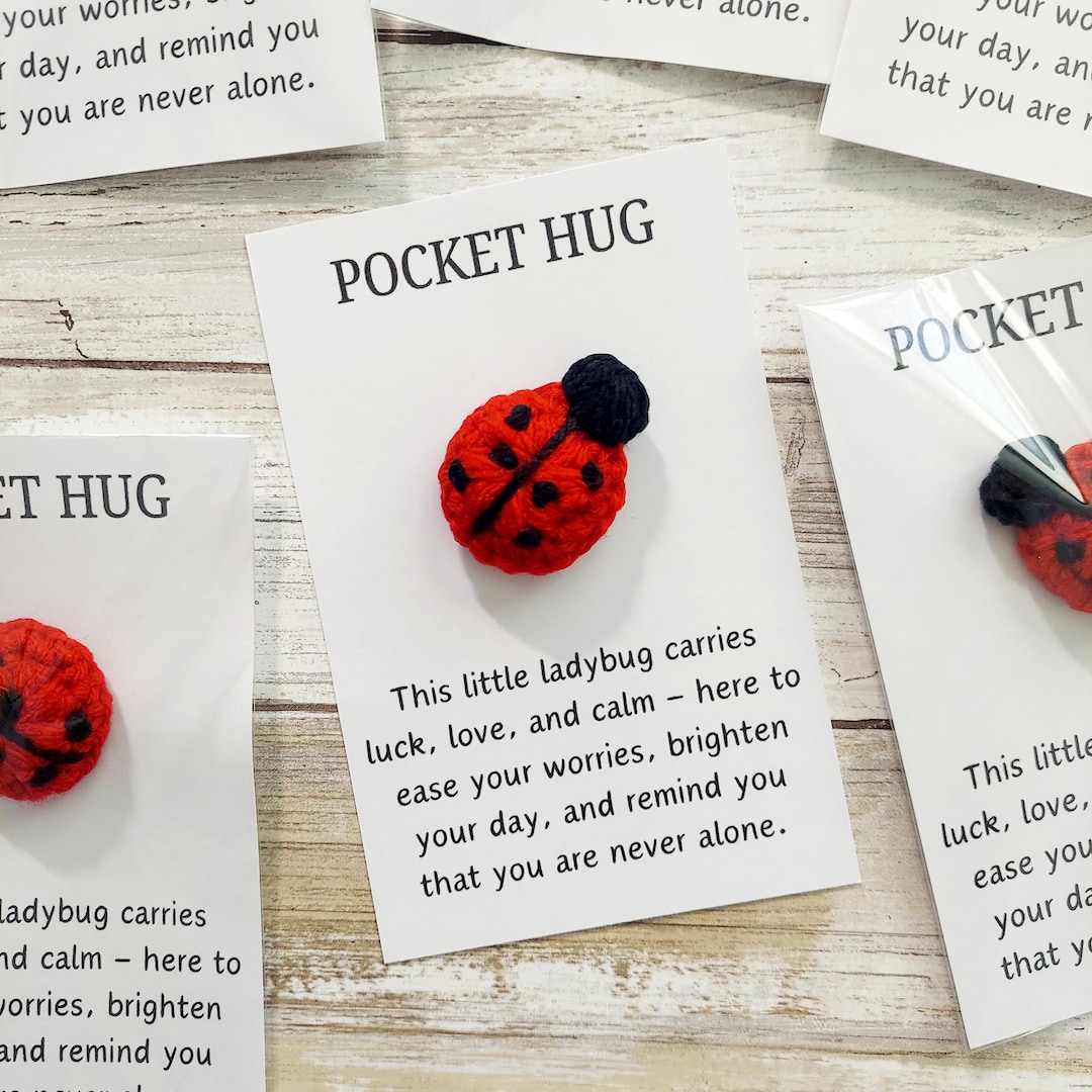 Ladybug Pocket Hug, Crochet Amigurumi Bug Plush, Handmade Comfort Toy ...