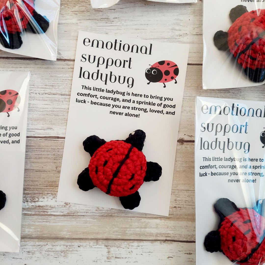 Emotional Support Ladybug Pocket Hug – Crochet Amigurumi Plushie, Lucky Gift, Anxiety Comfort ...