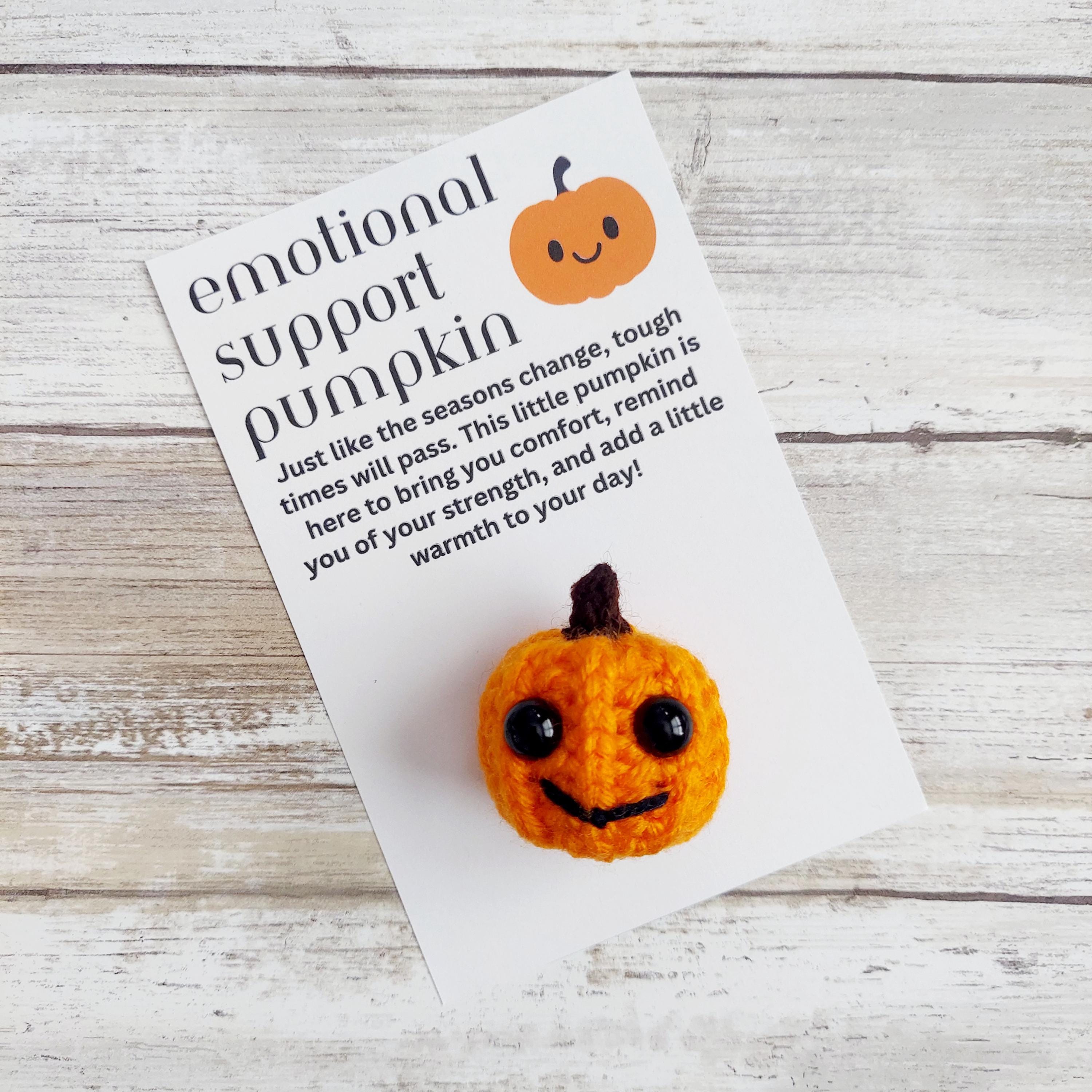 Emotional Support Pumpkin Crochet Amigurumi Pocket Hug - Anxiety ...