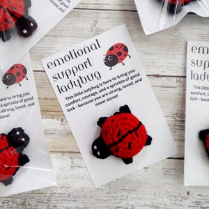 Emotional Support Ladybug Pocket Hug – Crochet Amigurumi Plushie, Lucky Gift, Anxiety Comfort ...