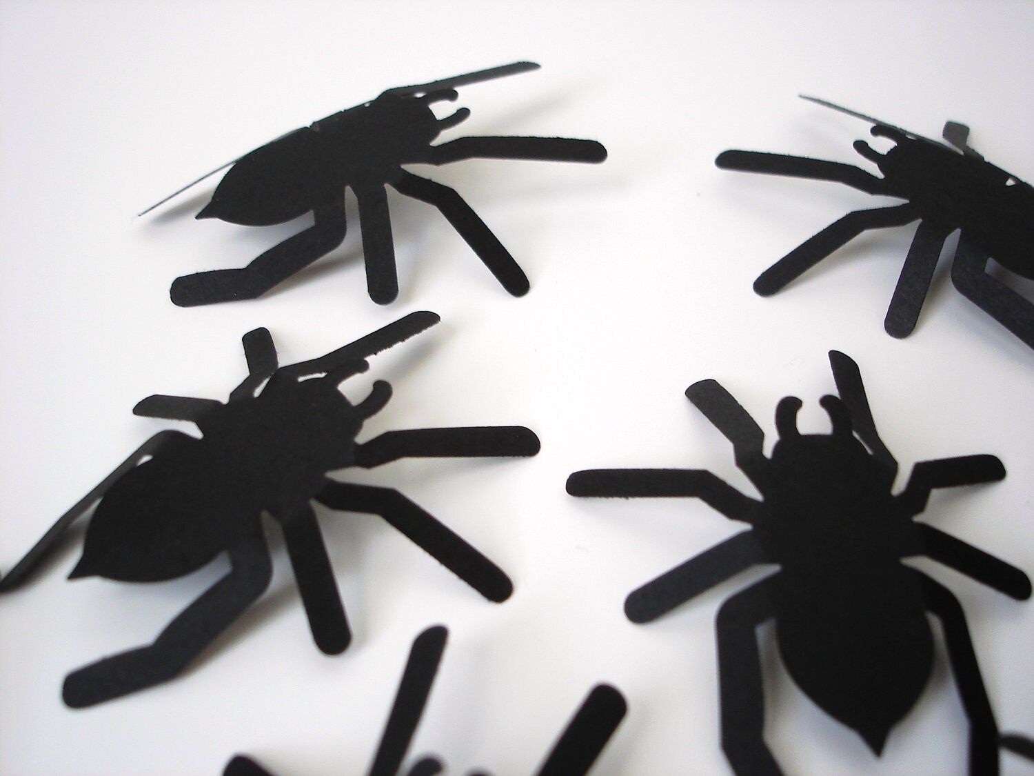 25 Halloween Tarantula Spider Confetti Halloween Party - Etsy