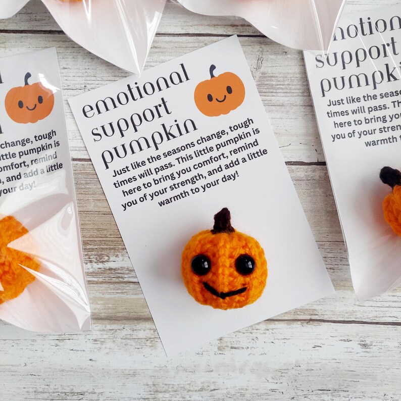 Emotional Support Pumpkin Crochet Amigurumi Pocket Hug - Anxiety ...