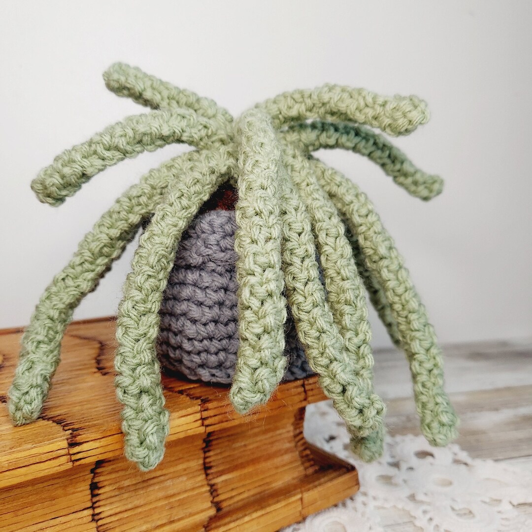 Crocheted Burro's Tail Succulent, Crochet Donkey Tail Plant, Artificial ...