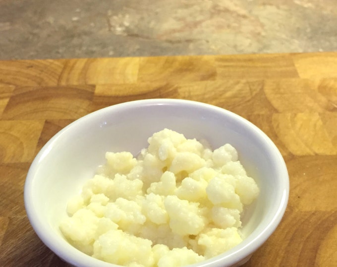 Live Milk Kefir Grains Only Grown in Whole Raw Milk Drink - Etsy