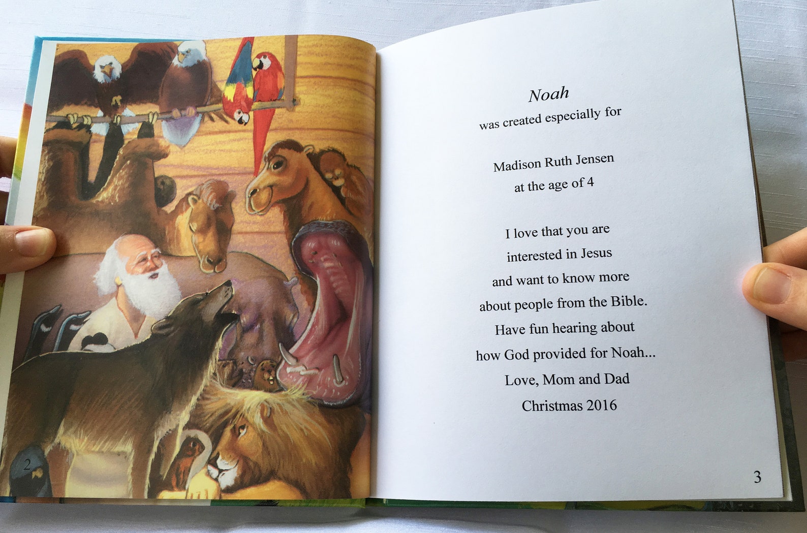 The Story of Noah A Personalized Book With Your Child's | Etsy