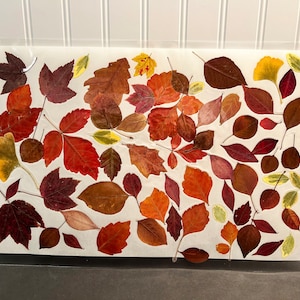 Real Fall, Autumn Leaf Laminated Place Mats Real Leaves Pressed Than ...