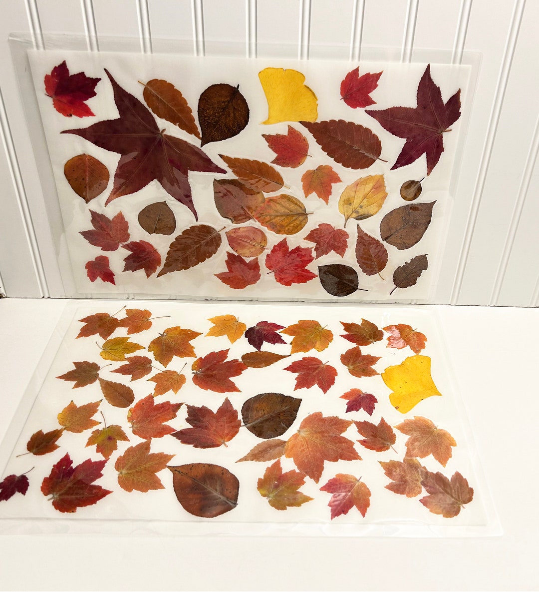 Real Fall, Autumn Leaf Laminated Place Mats Real Leaves Pressed Than ...